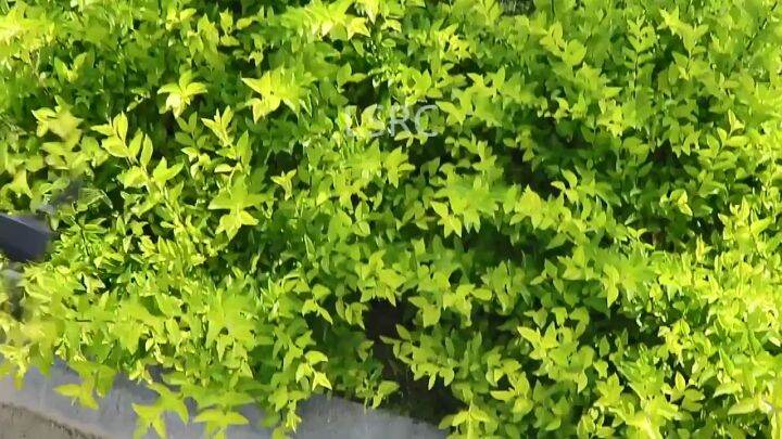 Xiao miDrone With Camera Mini Drone With 4K Dual Camera Original 4K HD ...