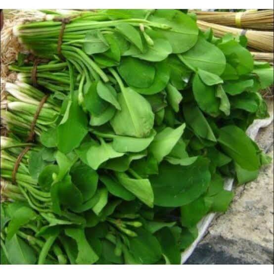 Daun Genjer Segar/Sayuran Genjer Segar 300Gram Murag | Lazada Indonesia