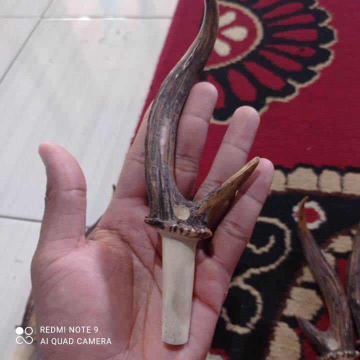 ONCE PIPA ROKOK TANDUK RUSA CABANG 15CM | Lazada Indonesia