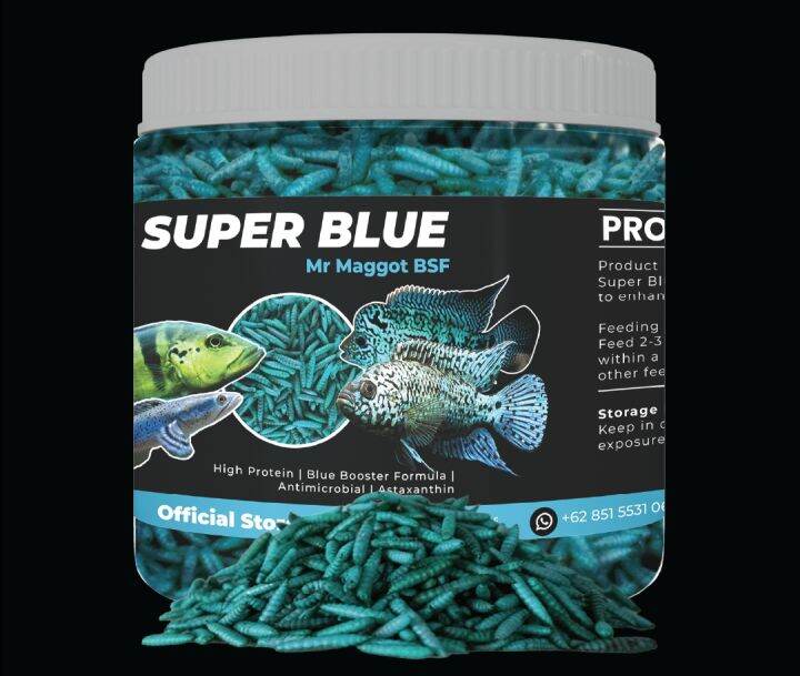 SUPER BLUE PREMIUM MR MAGGOT | Lazada Indonesia