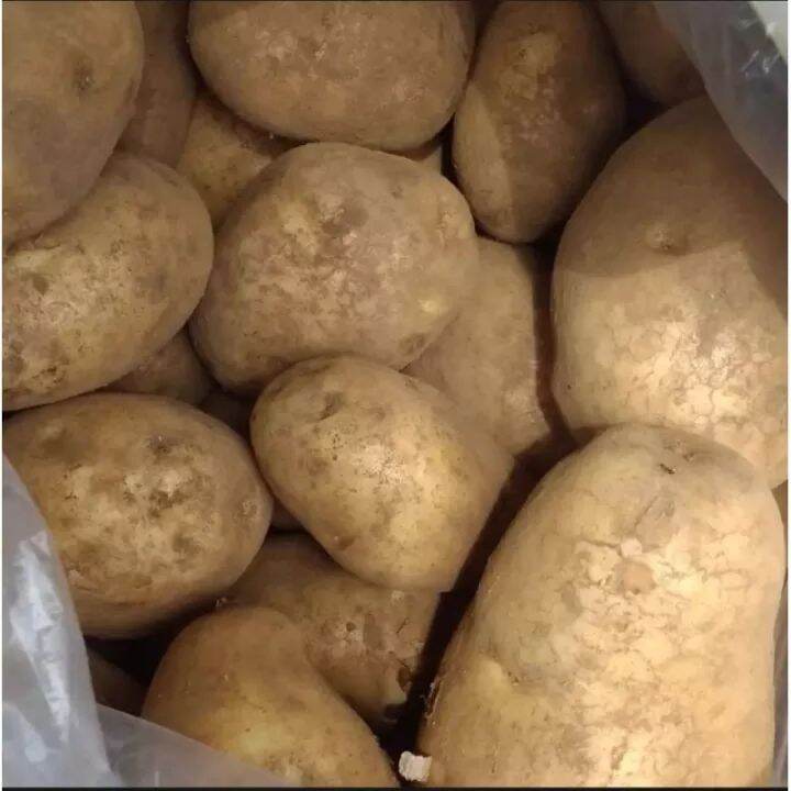 KENTANG SUPER//KENTANG BESAR 1 kg | Lazada Indonesia