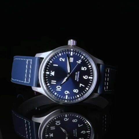 SEESTERN Mens Watch Automatic Mechanical Wristwatches Luminous Sapphire ...