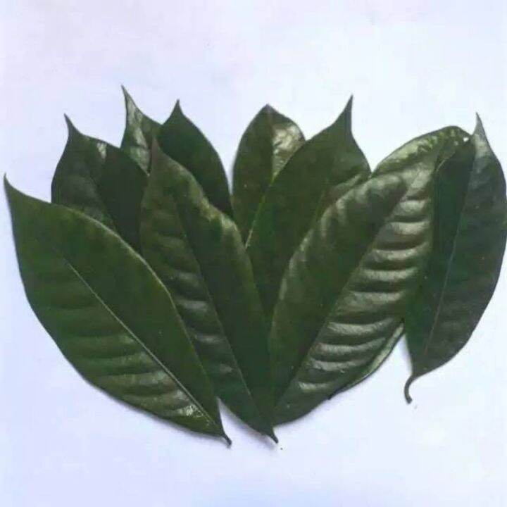 Daun pala segar 350 gram | Lazada Indonesia