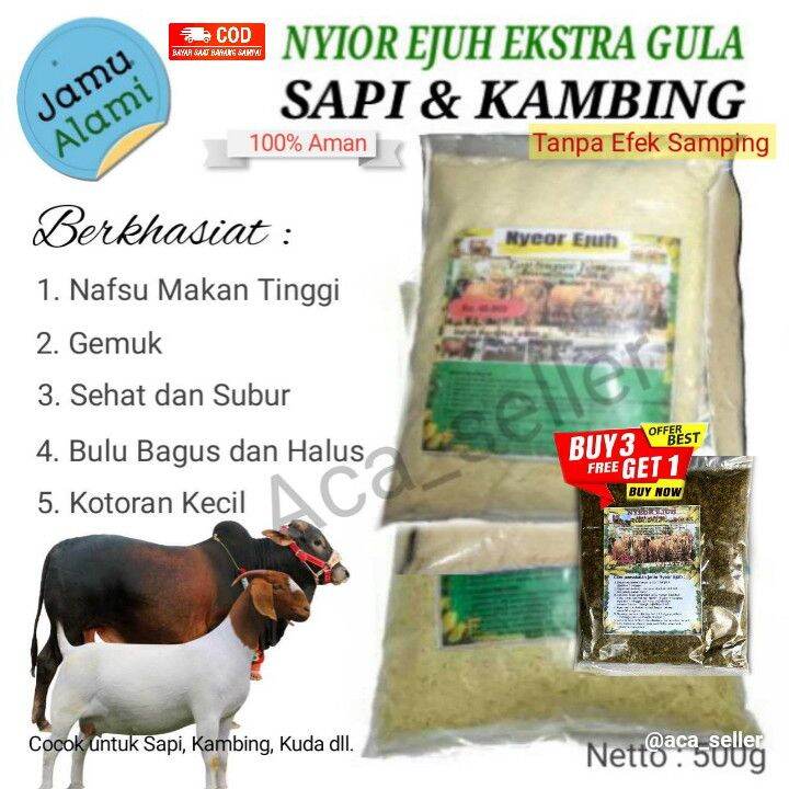 Vitamin Ternak Sapi kerbau kambing Nyeor Ejuh untuk Sapi dan Kambing ...