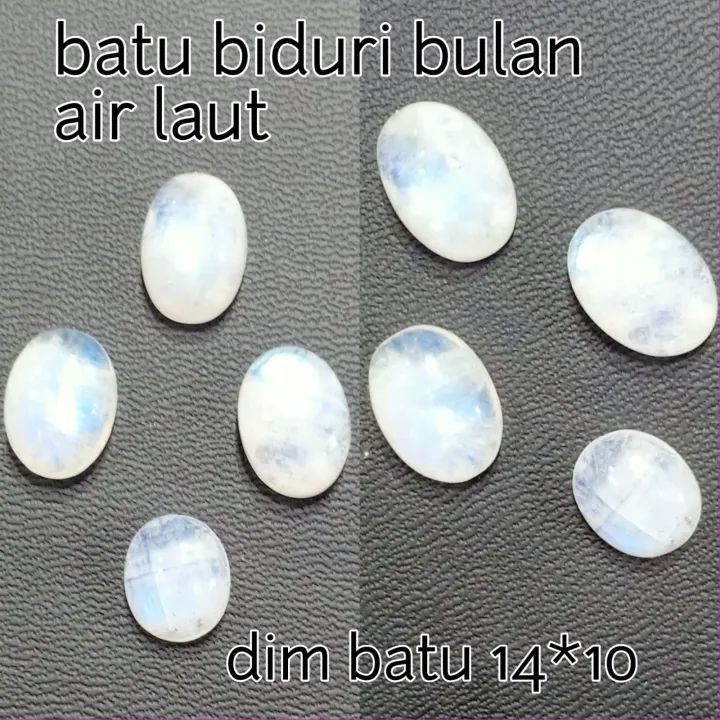 BATU BIDURI BULAN AIR LAUT | Lazada Indonesia