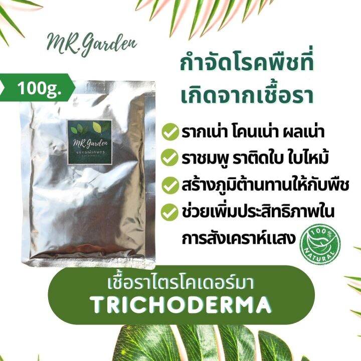 เชื้อราไตรโคเดอร์มา ชนิดผง กำจัดโรคที่เกิดจากเชื้อรา TRICHODERMA for ...