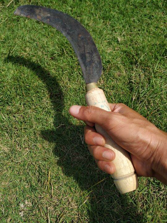 Sabit Gergaji Arit Padi / arit padi atau Parang padi sabit padi ...