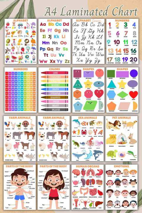 Laminated Educational Charts for Kids | Lazada PH