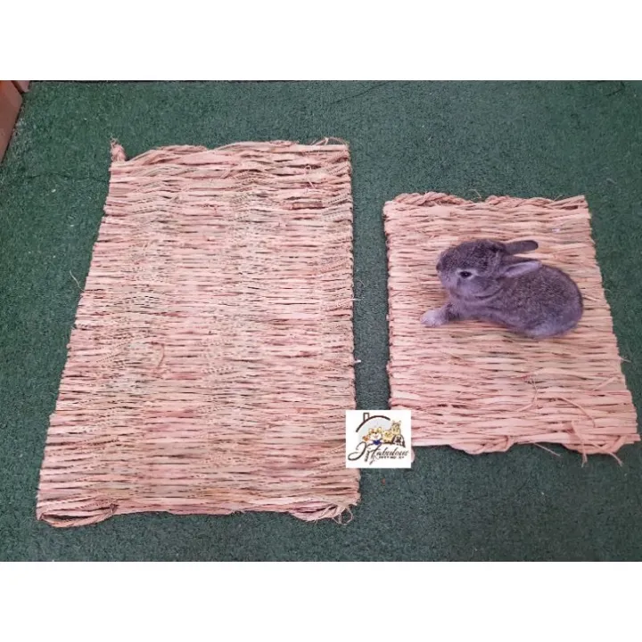 Hay Mat for rabbit/small animals (Big) 兔兔小宠草垫🐰 | Lazada