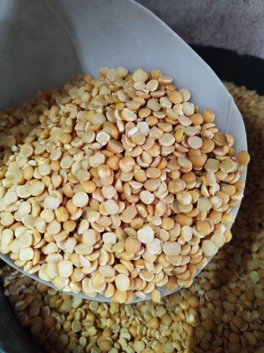 Kacang Parpu / Kacang Dhal / Yellow Dhal | Lazada