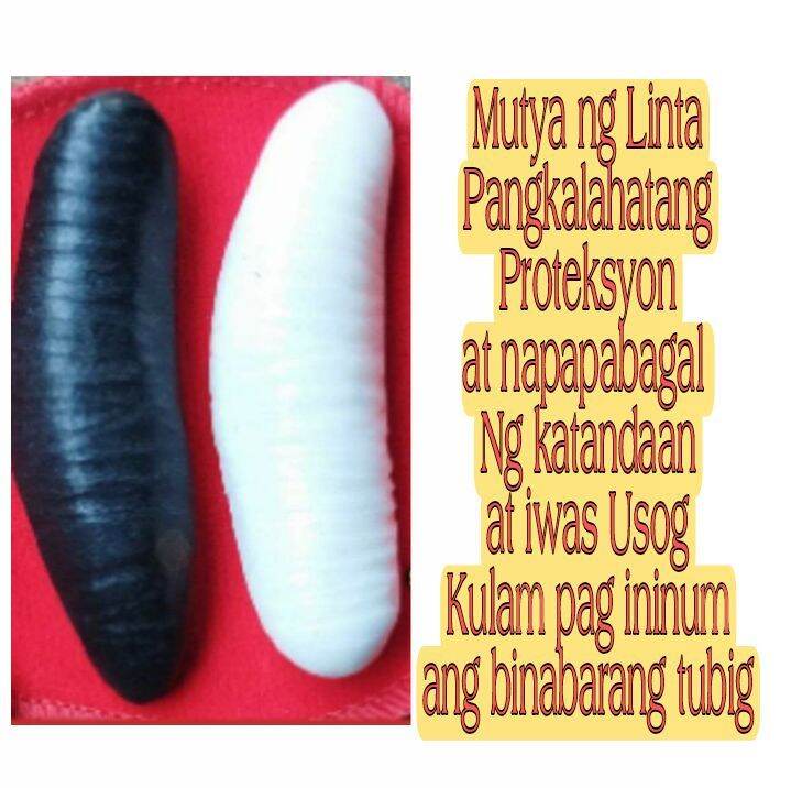 Mutya ng Linta(Big) Swerte sa lahat ng uri ng Hanapbuhay/Nagpapabagal ...