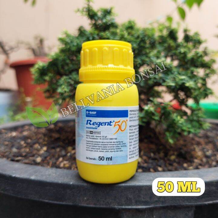 Regent 50 SC Insektisida Dan Zat Pengatur Tumbuh ZPT 50 ML | Lazada ...