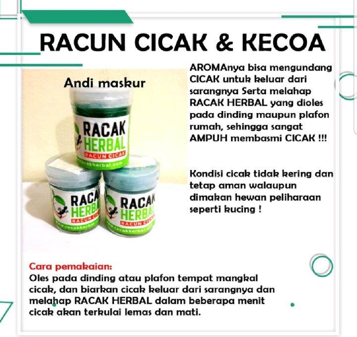 RACAK UNTUK CICAK DAN TOKEK | Lazada Indonesia