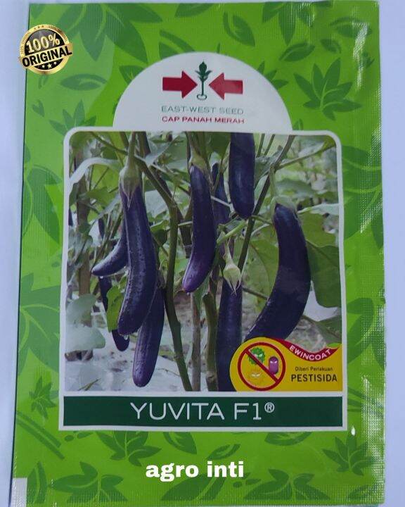 Benih terong hibrida YUVITA F1 isi 1.100 butir cap PANAH MERAH | Lazada Indonesia