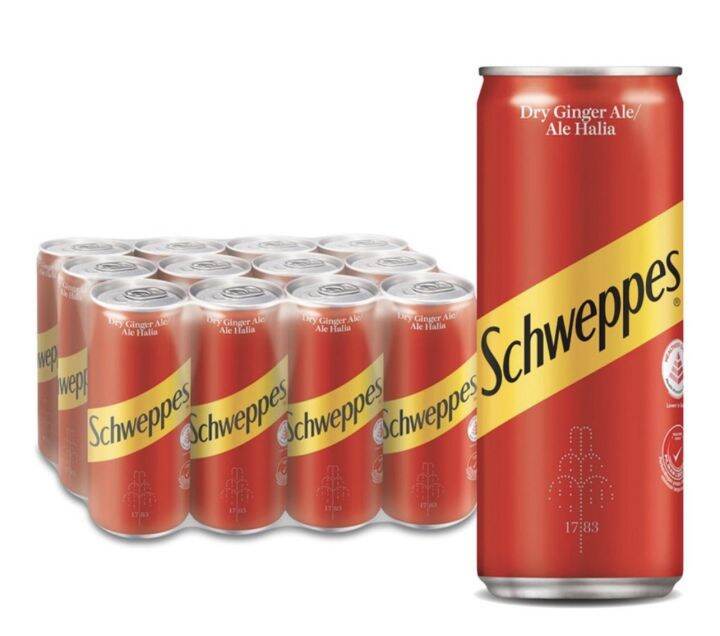 Schweppes Ginger Ale Can 12x320ml | Lazada