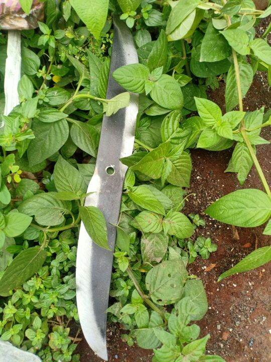 pisau pencacah rumput UK 40 cm baja (Cod ninja) | Lazada Indonesia