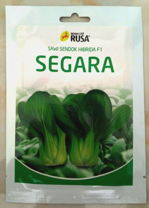 BENIH SAWI SENDOK/PAKCOY HIBRIDA F1 SEGARA 10 GRAM CAP RUSA | Lazada ...