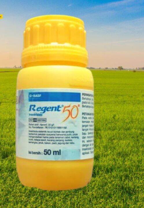 REGENT 50 SC RACUN SEMUT isi 50ml | Lazada Indonesia