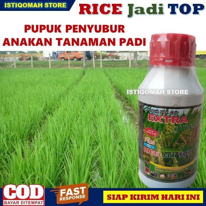 Pupuk Penyubur Anakan Tanaman Padi Jadi Banyak dan Subur RICE JADI TOP 500ML Pupuk Perbanyak ...