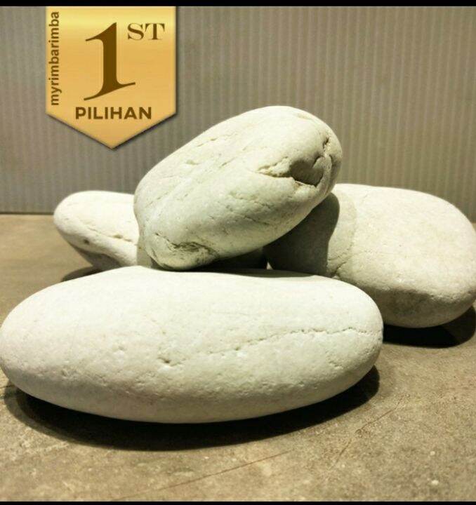 Batu Coral Putih (L) Hiasan Aquarium Aquascape Tanaman Air Ikan Hias ...