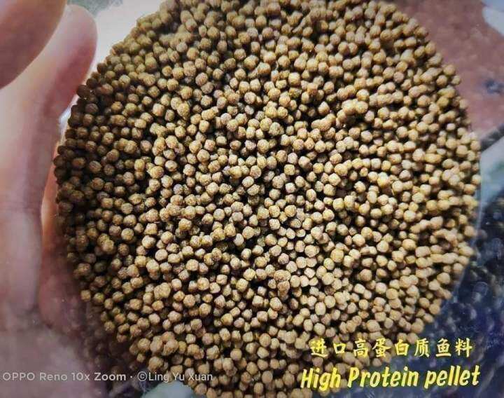 High Protein Pellet 1bottol | Lazada