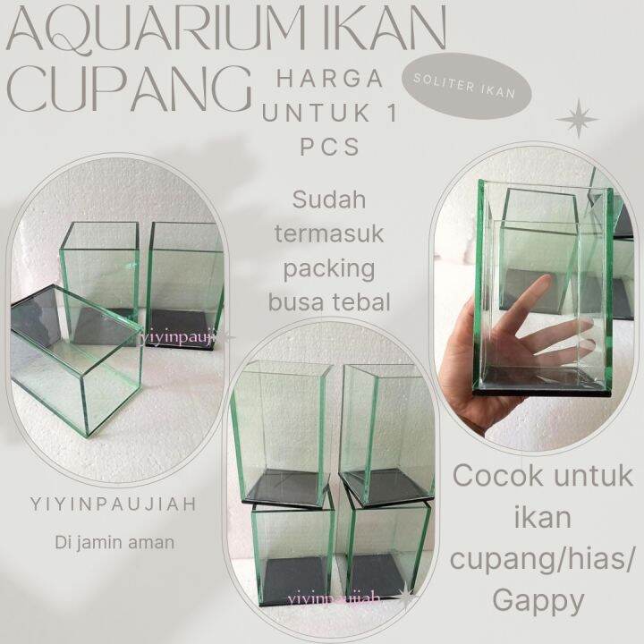 Soliter ikan cupang 10x10x15/aquarium mini soliter kaca/aquarium ikan ...