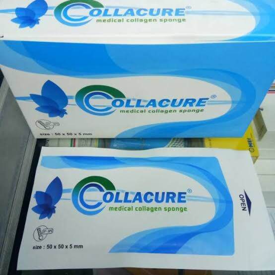COLLACURE Spon Collagen dressing ukuran 50 x 50 x 5 mm | Lazada Indonesia