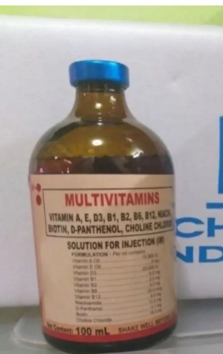 Multivitamins Solution for Injection 100ml | Lazada PH