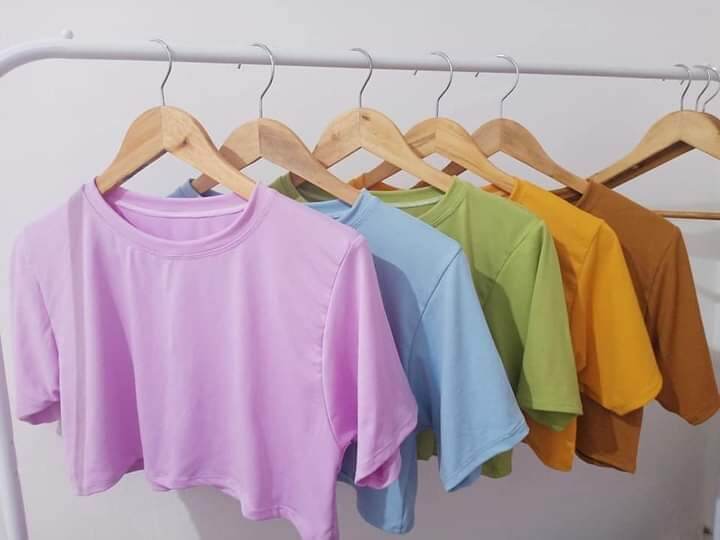 EARTH TONE CROPTEE • FITS SMALL-LARGE BODY FRAME | Lazada PH