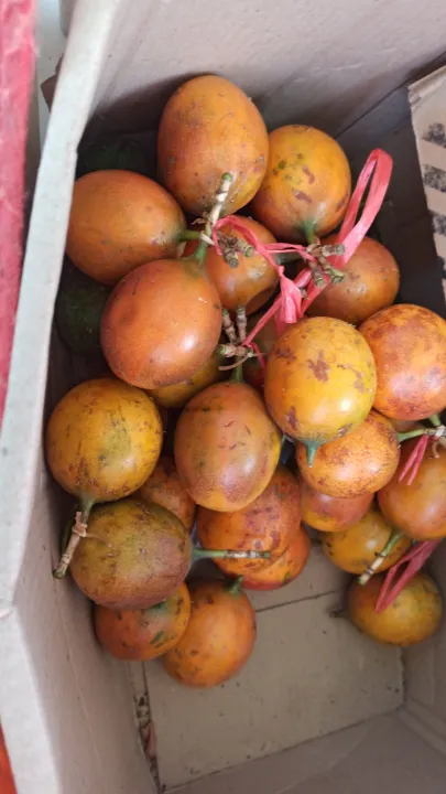 markisa manis/buah konyal hutan 100 % manis 1 kg | Lazada Indonesia