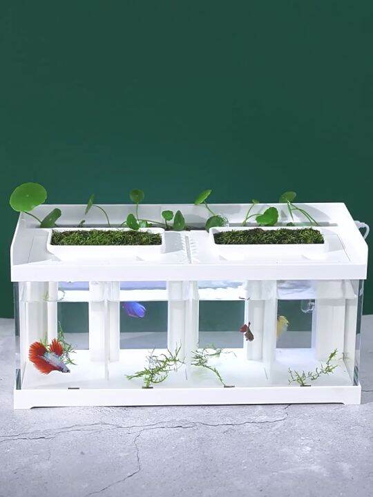 Betta Fish Tank Mini Fish Aquarium Desktop Integrated Fish Tank 2/4 ...