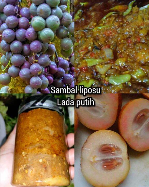 Sambal Liposu | Lazada