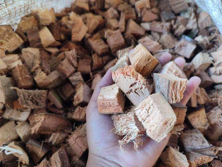 Lovely Garden's Coco Cubes 1 kilo is an Organic and Natural Mulch Made ...