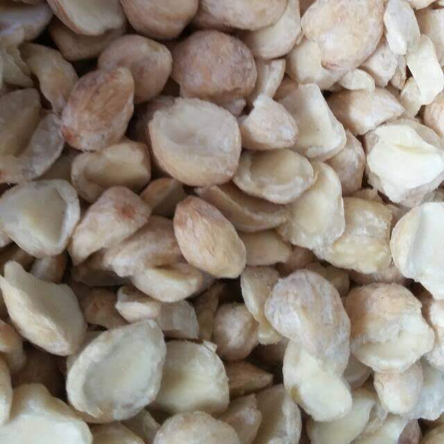 BIJI KEMIRI SUPER UKURAN 1 KG / KEMIRI PECAH / KEMIRI BELAH | Lazada ...