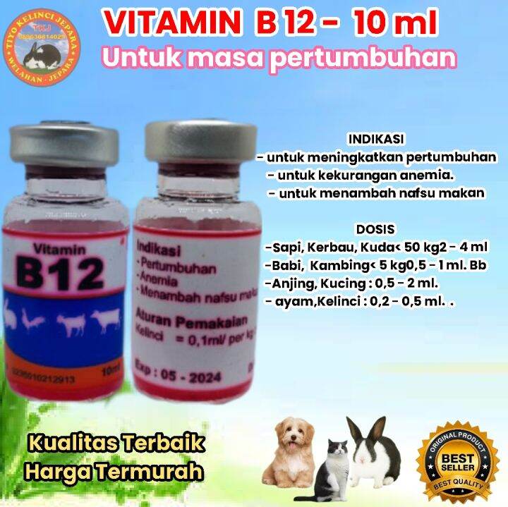 vitamin b12 10 ml untuk meningkatkan nafsu makan dan pertumbuhan hewan ...