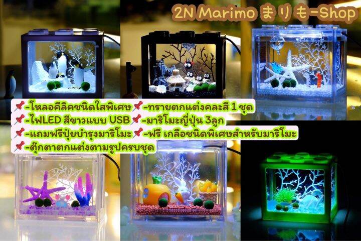 (พร้อมส่ง) มาริโมะ Marimo Set XL แถมฟรีอุปกรณ์ครบชุด พร้อมเลี้ยง | Lazada.co.th