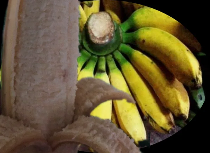 Pisang Raja Bulu Super | Lazada Indonesia
