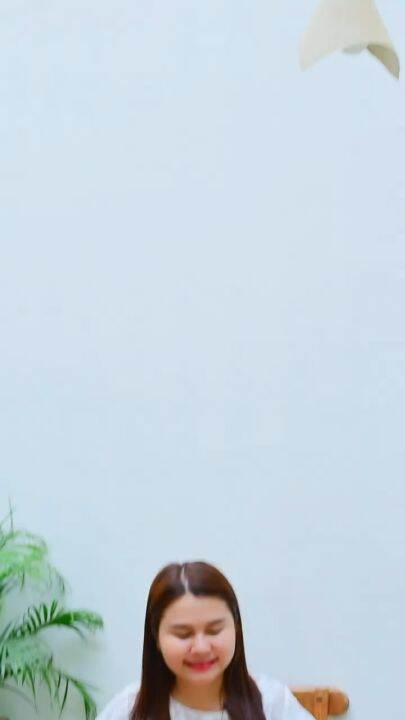 Treeno.9 T273 กุหลาบหนูแคระ ฮอนแลนด์ มี 6 สี (Rose) กระถาง 6 นิ้ว / สูง 15-30 ซม. / ไม้ประดับ ...