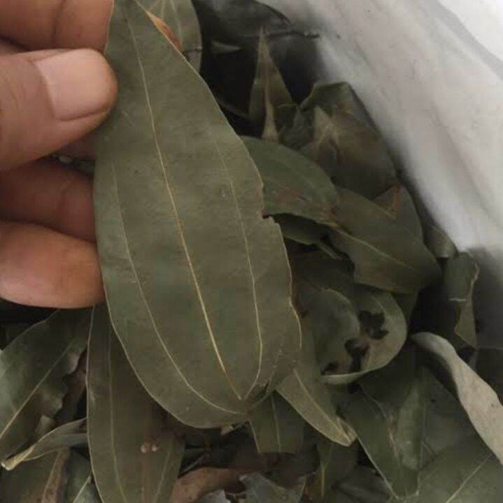 Daun kayu manis/500g/daun kayu manis kering | Lazada Indonesia