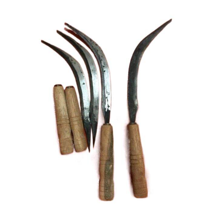 high quality native lilik/ karet available | Lazada PH