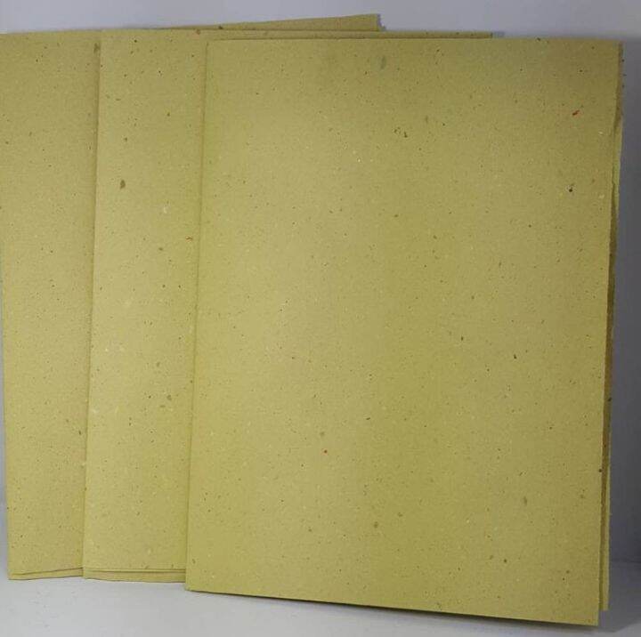 Manila paper(36x48) 1 set -24 pcs /half set -12 pcs (1 set /24 pcs /3 ...