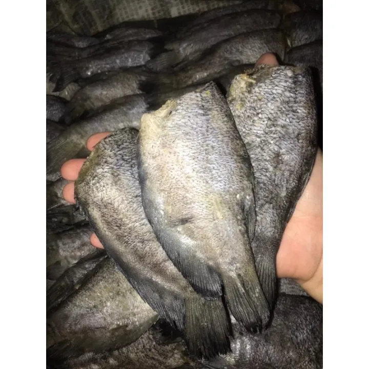 Ikan Masin Sepat 200g+- | Lazada