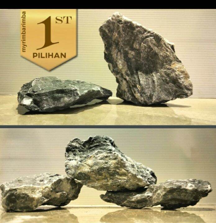 Batu Seiryu Hiasan Aquarium Aquascape Ikan Hias dan Tanaman Air Tawar ...