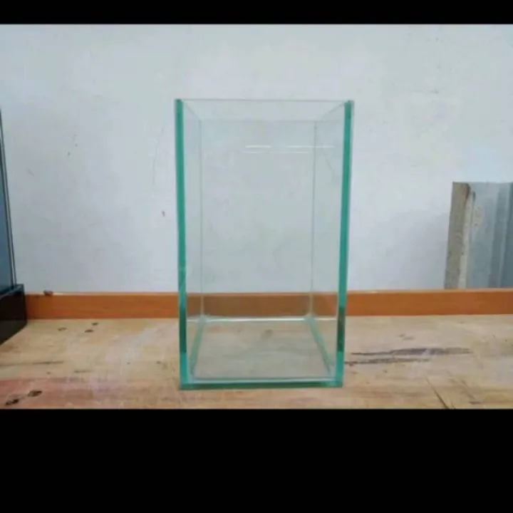 Soliter kaca ikan cupang/gepy 10x10x20 | Lazada Indonesia