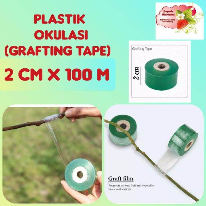 plastik okulasi / grafting tape / plastik sambung pucuk 2 cm x 100 m | Lazada Indonesia