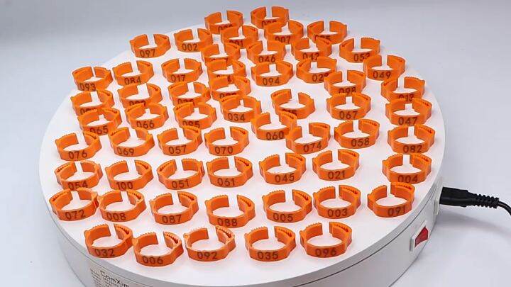 100/50/20/10Pcs Chicken leg ring Adjustable Leg band Poultry feet tag ...