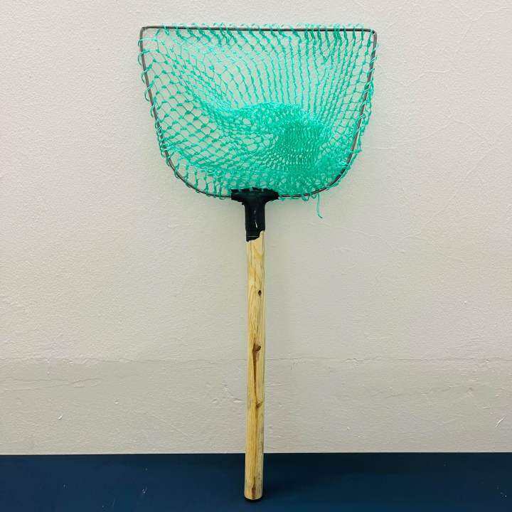 China Green Fish Net with Wood Handle - 14” | Lazada