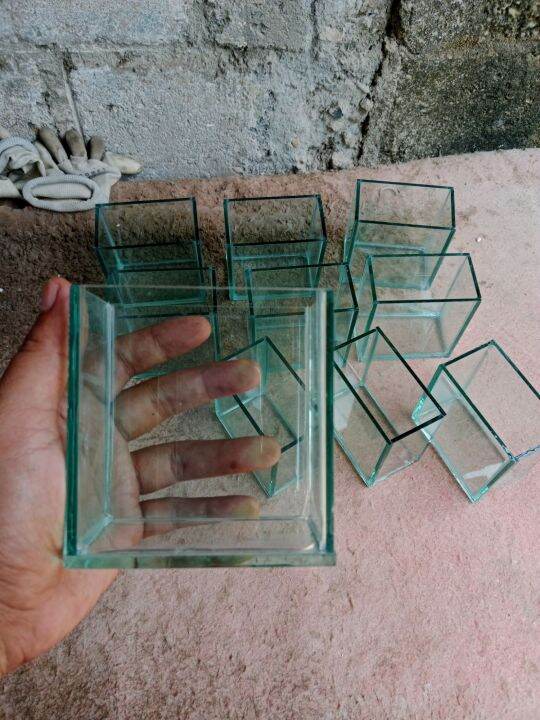 Soliter kaca mini 10*6*10 / Akuarium mini / Soliter cupang / aquarium ...