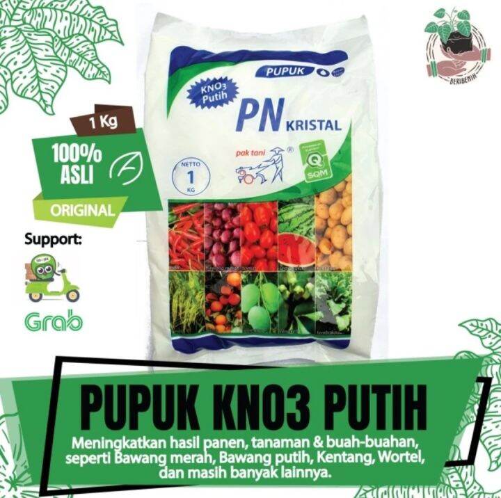 Pupuk KN03 Putih PN Prill Pak Tani, 1 kg Booster bunga buah Terbaik | Lazada Indonesia