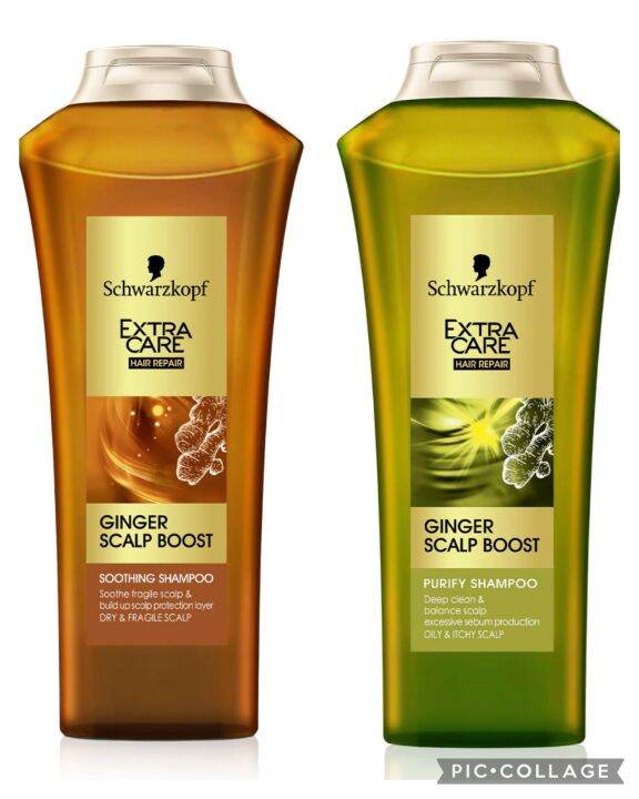 EXTRA CARE Ginger Scalp Boost Purify Shampoo for Oily & Itchy Scalp or ...